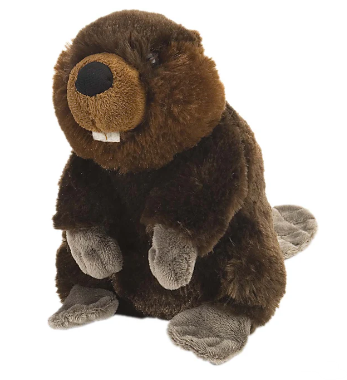 Mini Beaver Plush – Compass Rose